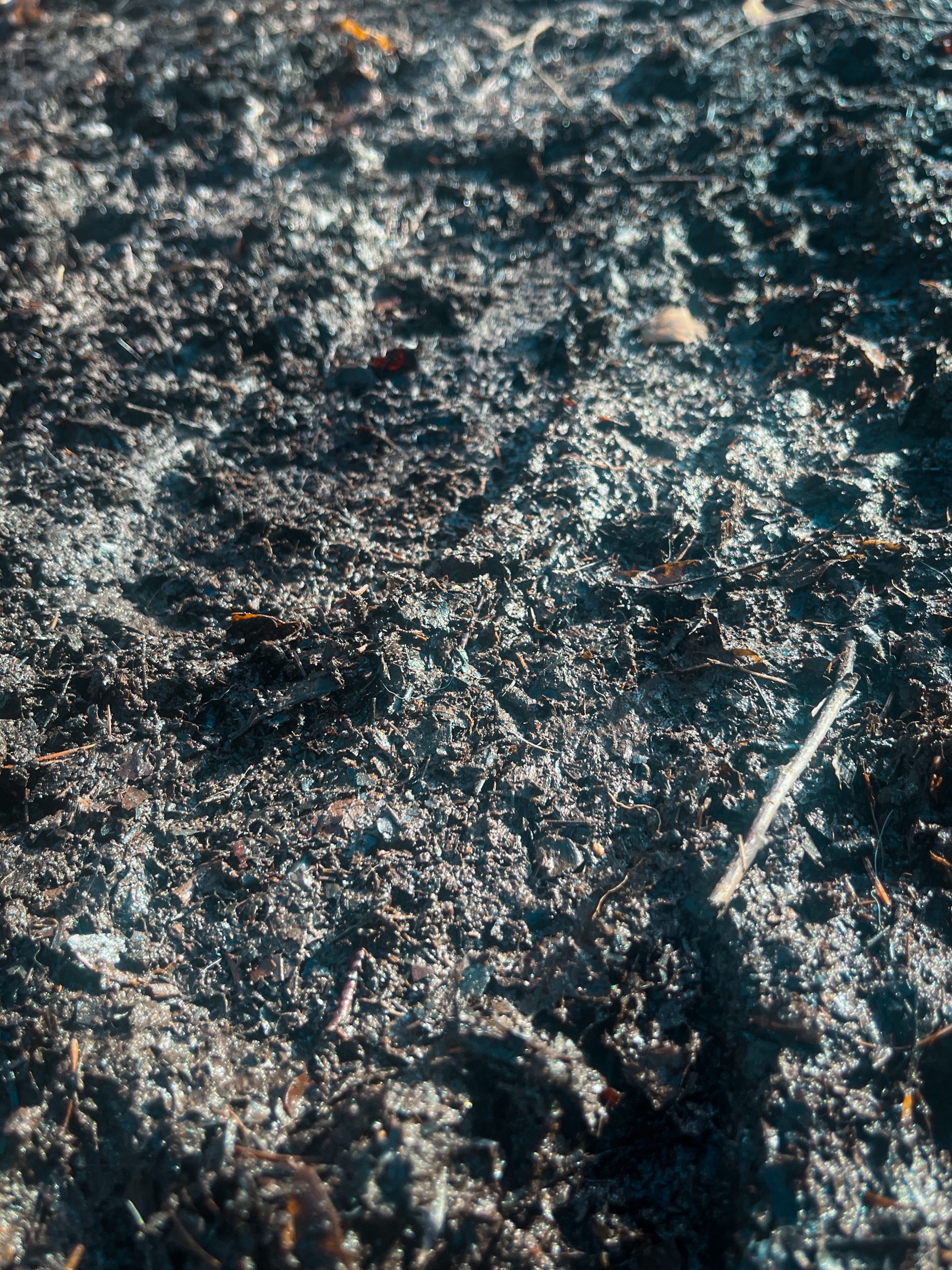 ProCamera App: Turning an iPhone into a Photographer’s Playground (Review) – Viewfinder Chronicles