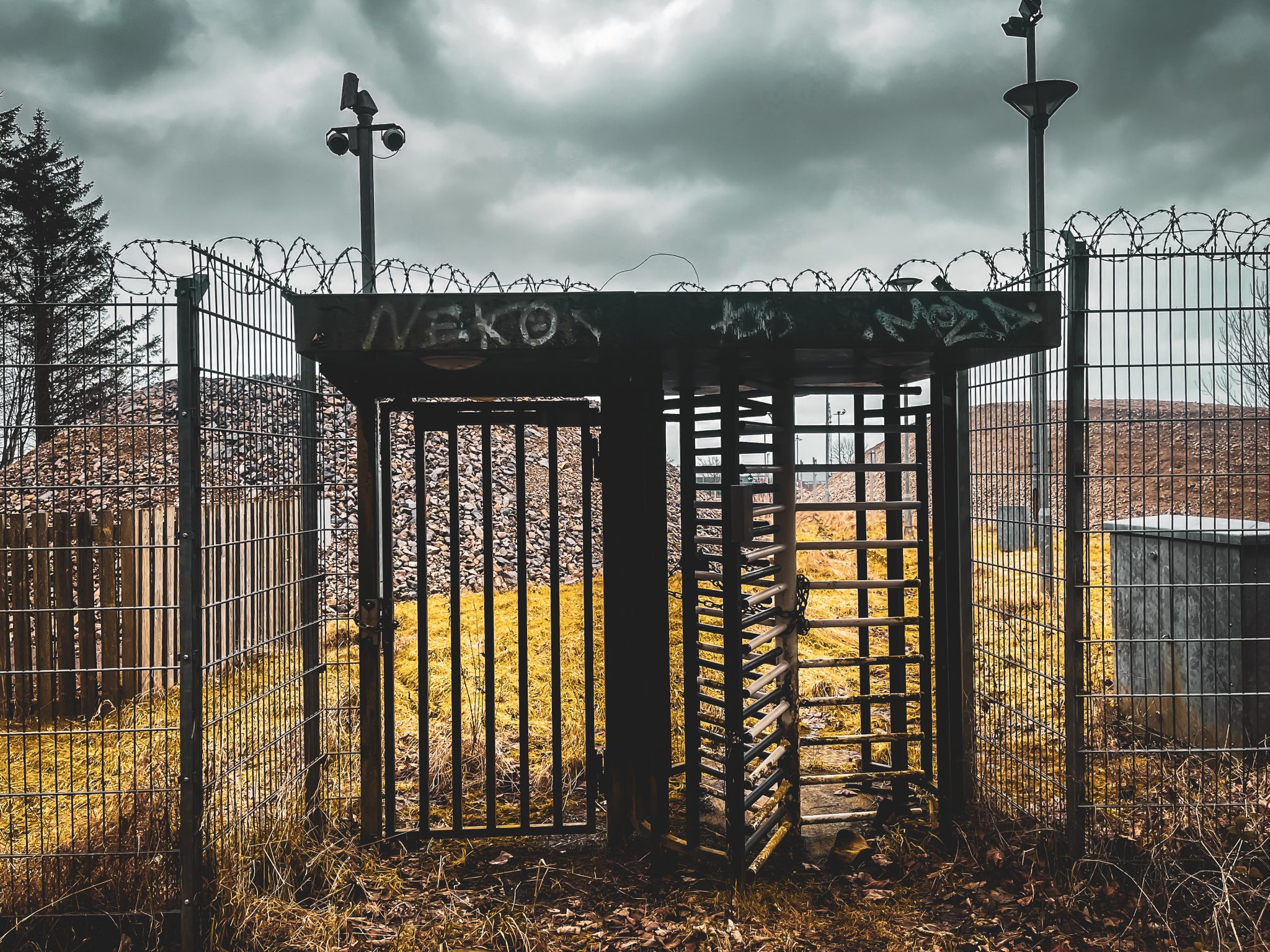 ProCamera App: Turning an iPhone into a Photographer’s Playground ...