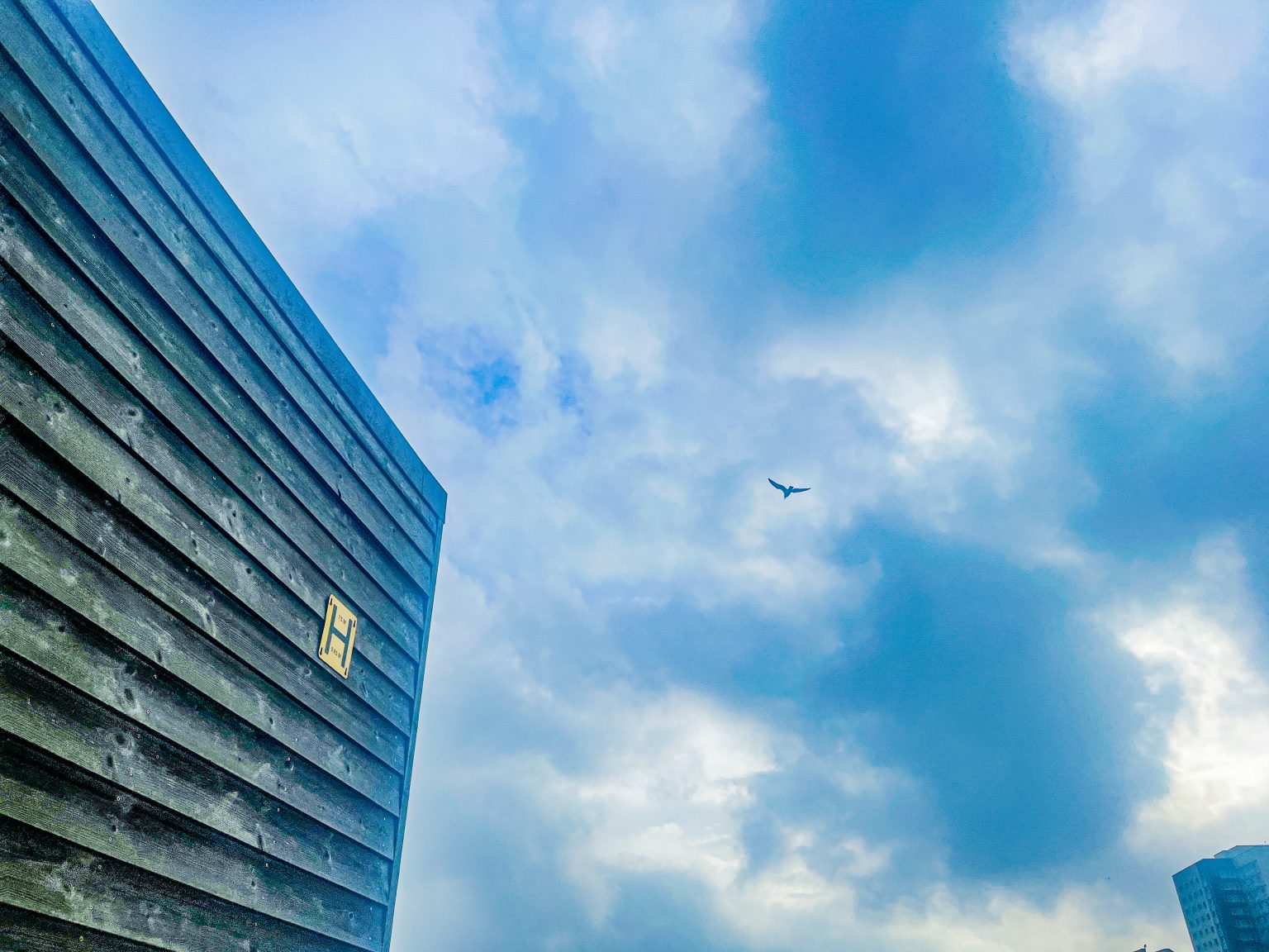 ProCamera App: Turning an iPhone into a Photographer’s Playground ...